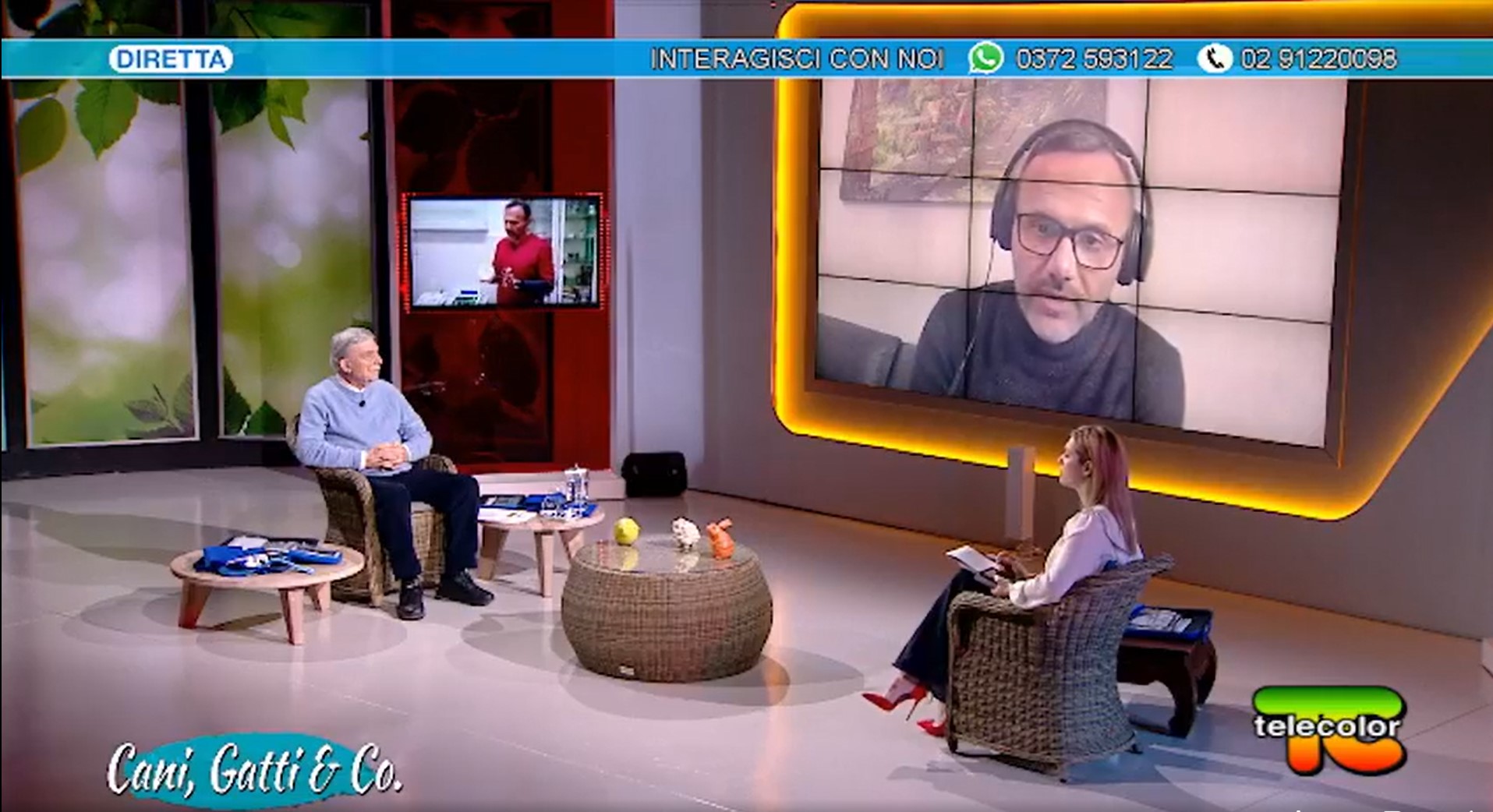 Registrazione della diretta TV trasmessa su TELECOLOR GREEN TEAM ...